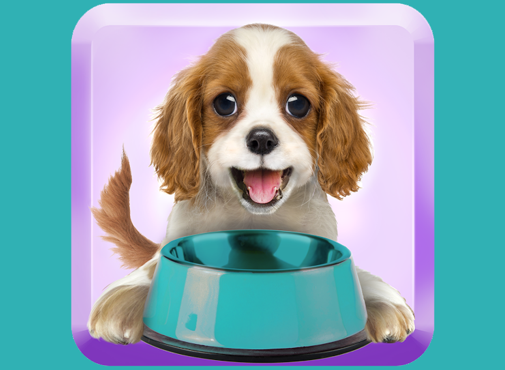 Uncle Andy Toys, Fun for Almost the Whole Family